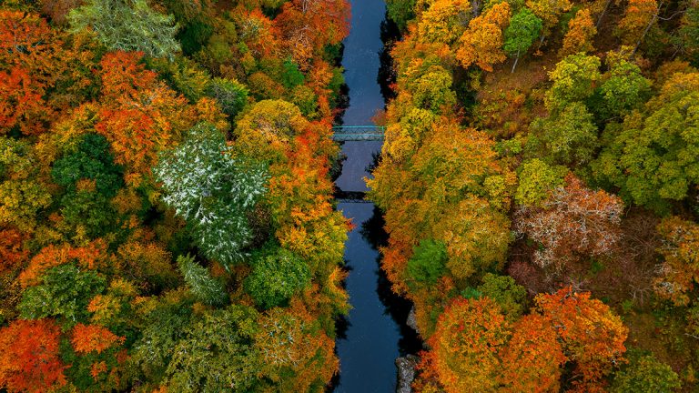 Beyond rest: envisioning eternal growth – Flashes of Insight